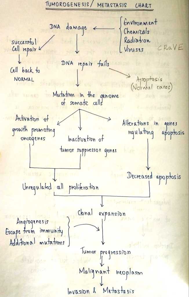 Tumor Progression / Tumorogenesis - World ENT Care